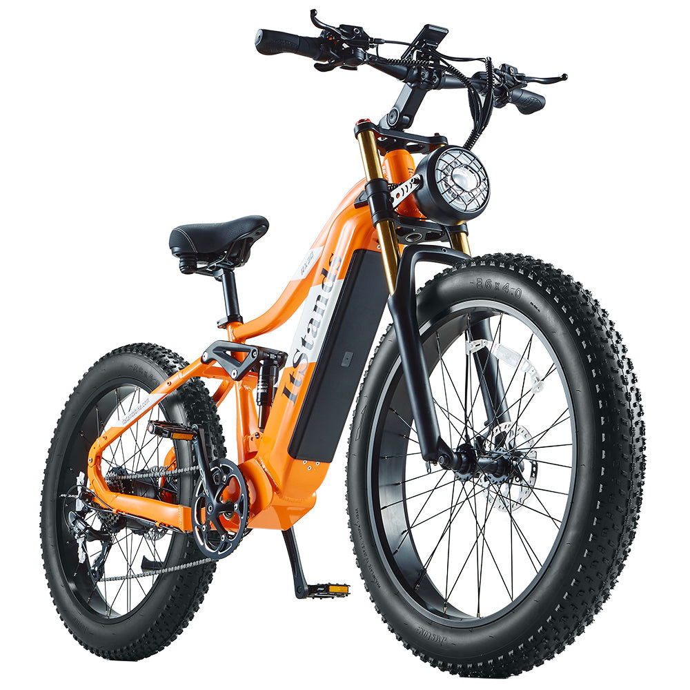 Burchda RX30 Long Range Mountain eBike | 1000W 48V 30Ah | High-Perform ...